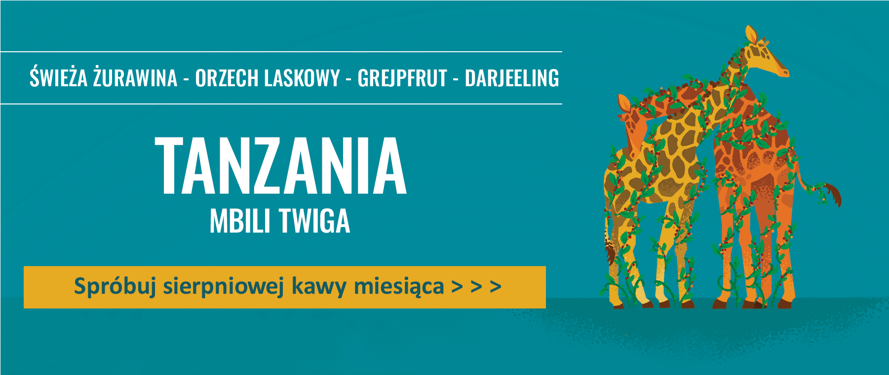 Palarnia Kawy [100% Arabica] ☕ JAVA Coffee – JAVA COFFEE